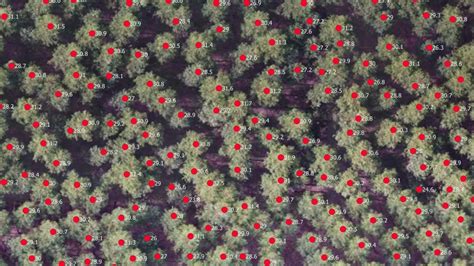 Afry Smart Forestry Treemaps Afry