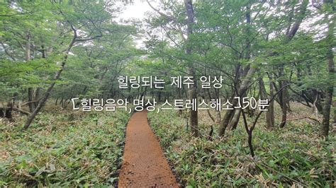 힐링되는 제주 일상 힐링음악명상스트레스해소 50분 Youtube