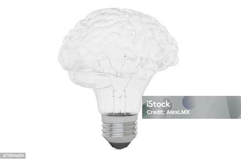 라이트 전구 두뇌 아이디어 개념입니다 흰색 배경에 고립 된 3 차원 렌더링 3차원 형태에 대한 스톡 벡터 아트 및 기타 이미지 3차원 형태 개념과 주제 교육 Istock