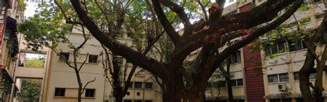 Study At IITM