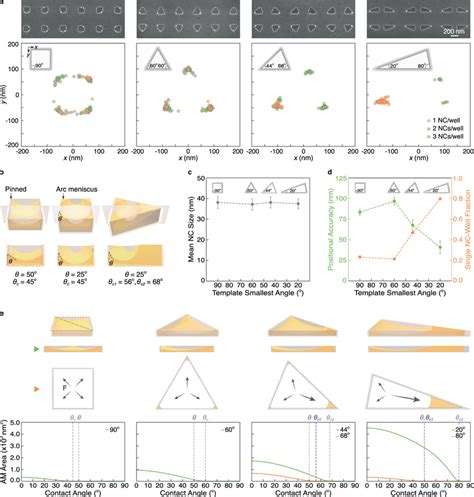 Deterministic Nanocrystal Placement With An Asymmetric Meniscus A Download Scientific Diagram