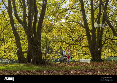 Herbst Am Decksteiner Weiher In Kšln Autumn At The Deckksteiner Pond