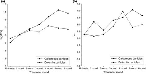 A Characteristic Fracture Strength And B Weibull Modulus Of The Tested Download Scientific
