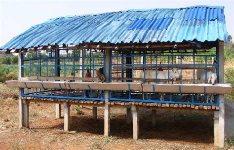 Indian Goat Shed