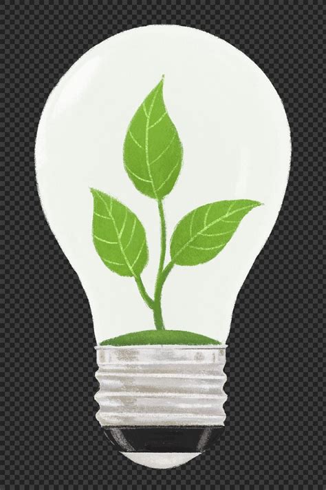 Sapling Images Free Photos Png Stickers Wallpapers And Backgrounds Rawpixel