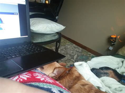 Rainy Saturday Classroom What Does Your Wgu Classroom Look Like Rwgu