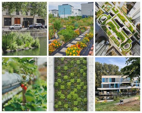 Environmental Integration On Sustainable Perspective And Beyond Eispb