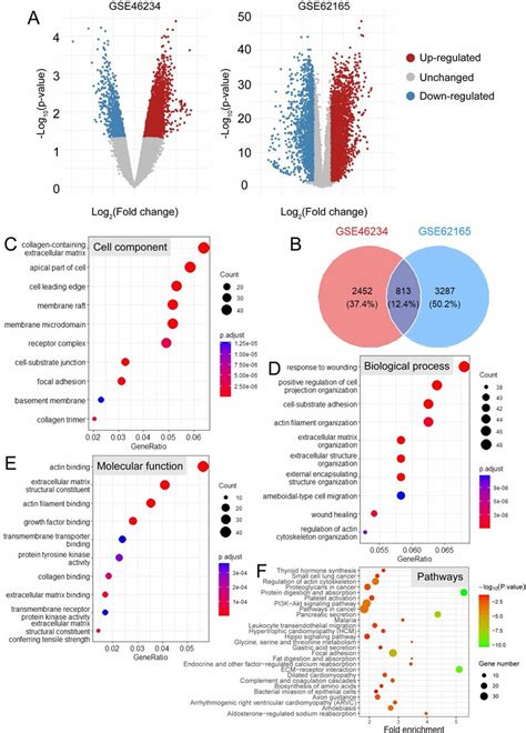 Differentially Expressed Genes Degs Screening Between Pancreatic