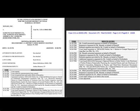 Netlist Vs Samsung Rnetlist