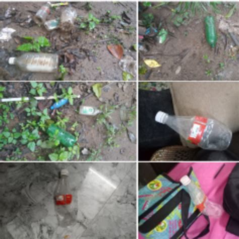 Litter Detection Plastic Bottle And Bag Kaggle