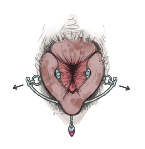 Rule 34 Anatomically Correct Anatomically Correct Genitalia