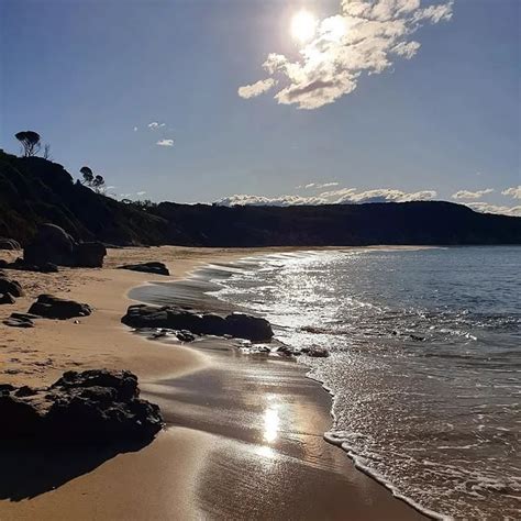 We Have A Whole Note Book We Are Filling Up With That S Something I Say