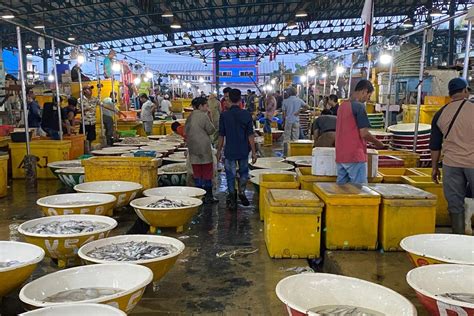 Belanja Di Pasar Ikan Muara Angke Pembeli Seru Ikannya Segar Dan Murah