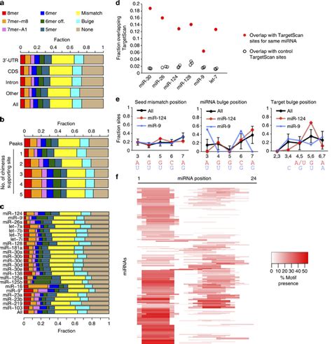 Motif Analysis Reveals Mirna Binding Dependent On Seed And Auxiliary