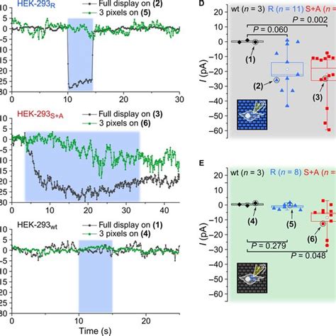 Spatial Resolution Of The Optogenetic Activation Achieved With Oled Download Scientific Diagram