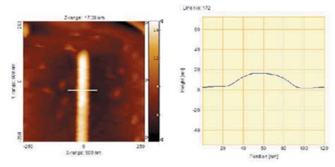 Effect Of Different Tip Shapes On Afm Measurement Nanoandmore