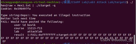Csapp Lab3：attack Lab Csdn博客