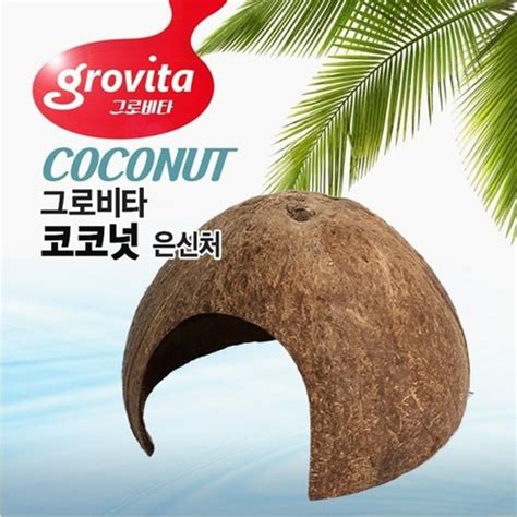 코코넛 햄스터 은신처 소형 개 최저가 검색 최저가 원 할인 알림