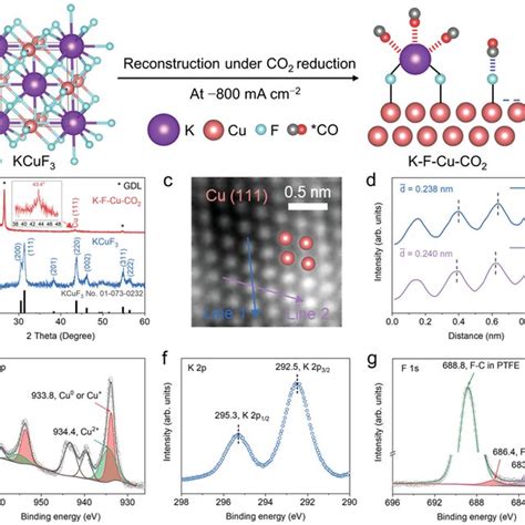 A Scheme Of Surface F And K Co‐modified Cu111 With Adsorbed Co