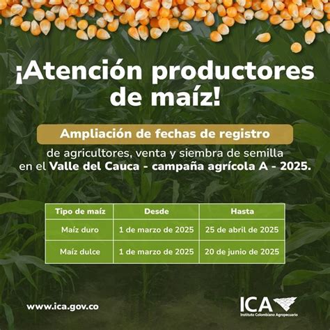 Programa De Siembra En Austin Los 10 Viveros En Austin Mejor