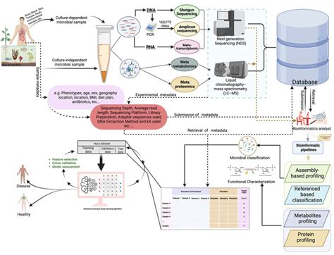 A Comprehensive Overview Of Microbiome Data In The Light Of Machine