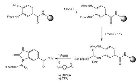 Peptide Resin Loading Protocols
