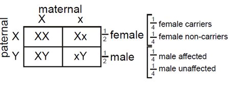 Single Gene Inheritance Patterns And Prevalence Heterozygote Frequency