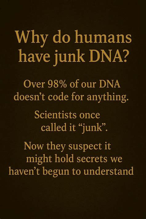 No Records No Reason Just Silence 75 Scientific And Historic Mysteries Scientists Still Can