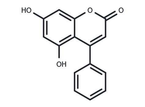 Lc3 Mhtt In An2 Autophagy Attecs Antibacterial Targetmol