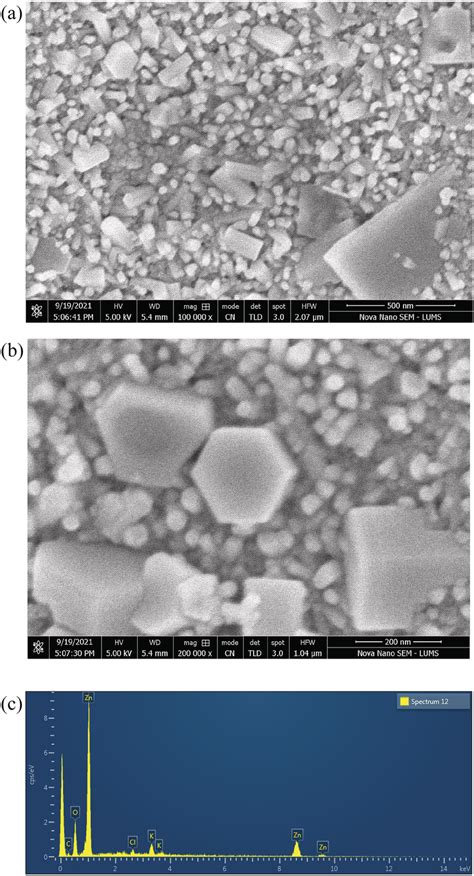 A B Morphology Representing Sem Images At Different Amplifications