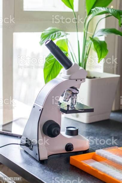 다양한 과학 생물학 화학 의학 연구 실험실 재료에 대한 현미경 클로즈업 0명에 대한 스톡 사진 및 기타 이미지 0명 Dna 가정 생활 Istock