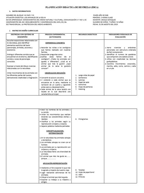PlanificaciÓn Erca Pdf Creatividad Cognición