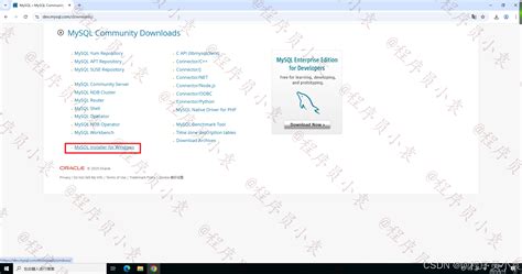 windows下mysql安装全流程图文教程及客户端使用指南（付整合安装包） mysql windows安装教程 csdn博客