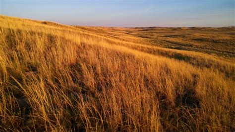 12 Photos That Prove The Nebraska Sandhills Are Stunning
