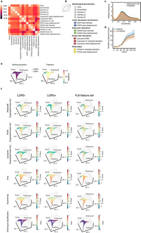 Feature Selection For Organoid Development A Pearson Correlation Download Scientific Diagram