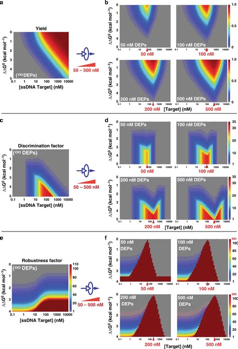 Simulation Results Of Dna Equalizer Gate Deg In Silico Prediction Of
