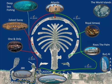 100 Feet Falcon Rides