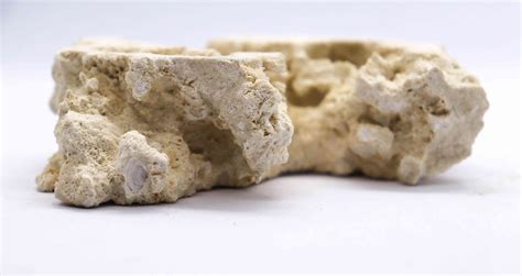 Stax Flat Rock Reef Casa