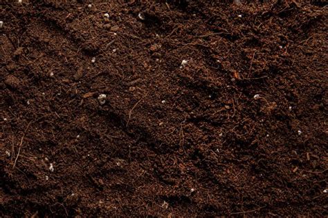 Lincoln Compost Supplier From £399 Delivered