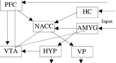 The Connectivity Between The Main Sites Involved With The Creation Of Download Scientific