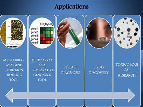 Microarray Dna And Snp Microarray