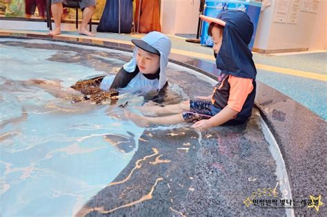 남아 래쉬가드 수영복 아레나 아기 수영 모자 세트 사이즈 팁 네이버 블로그