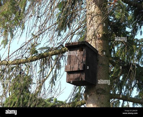 Nesting Box In A Tree Stock Photo Alamy