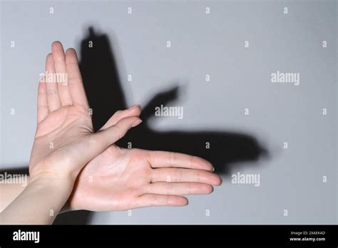 Shadow Puppet Woman Making Hand Gesture Like Bird On Light Background