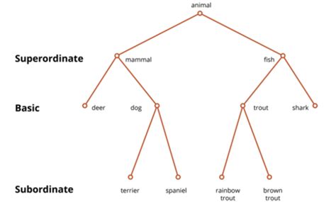 PSYC 100 Week 13 Cognitive Development Flashcards Quizlet