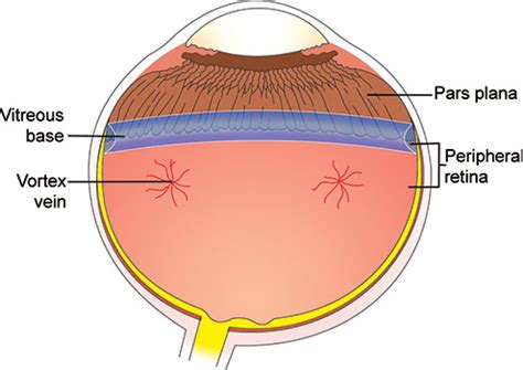 عینک Eyewear