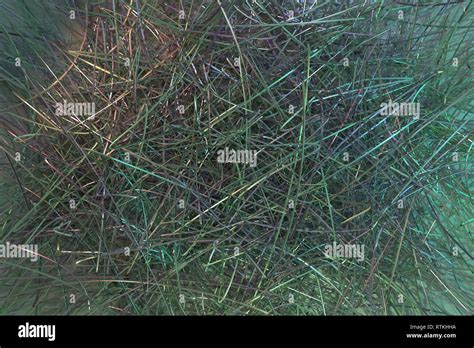 Virtual Backdrop Messy Strings Cgi Composition For Web Page