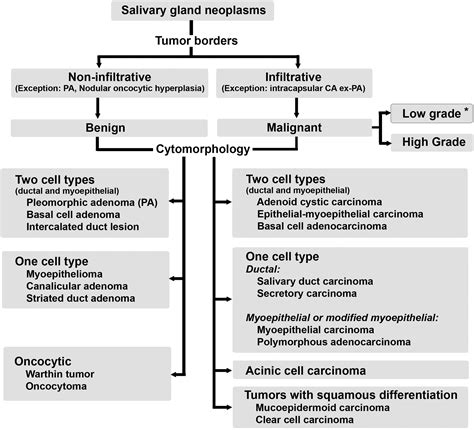 Salivary Gland Neoplasms Diagnostic Approach With Focus On Patterns Of
