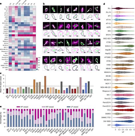 Quantitative Analysis Of Heterogeneous Vascular Permeability Using The