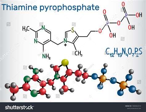 Thiamine Pyrophosphate Tpp Thiamine Diphosphate Cofactor Stock Vector